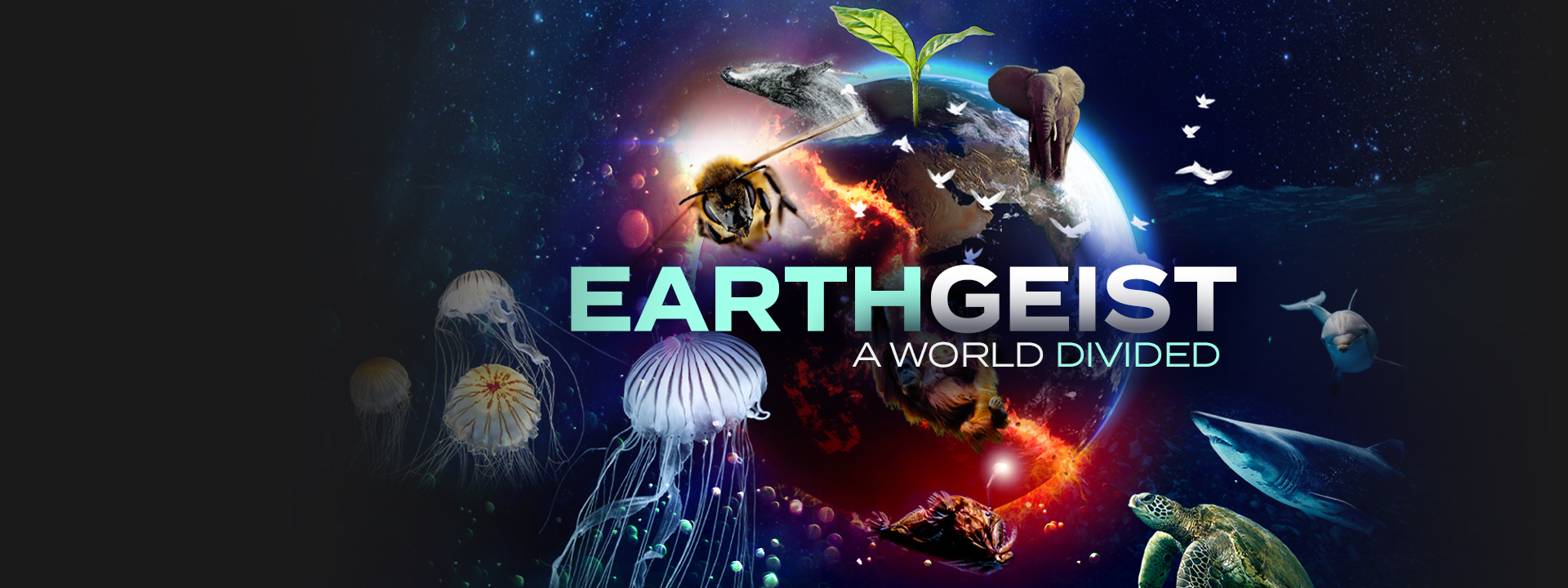 UFOTV – UFOTV – Streaming Video